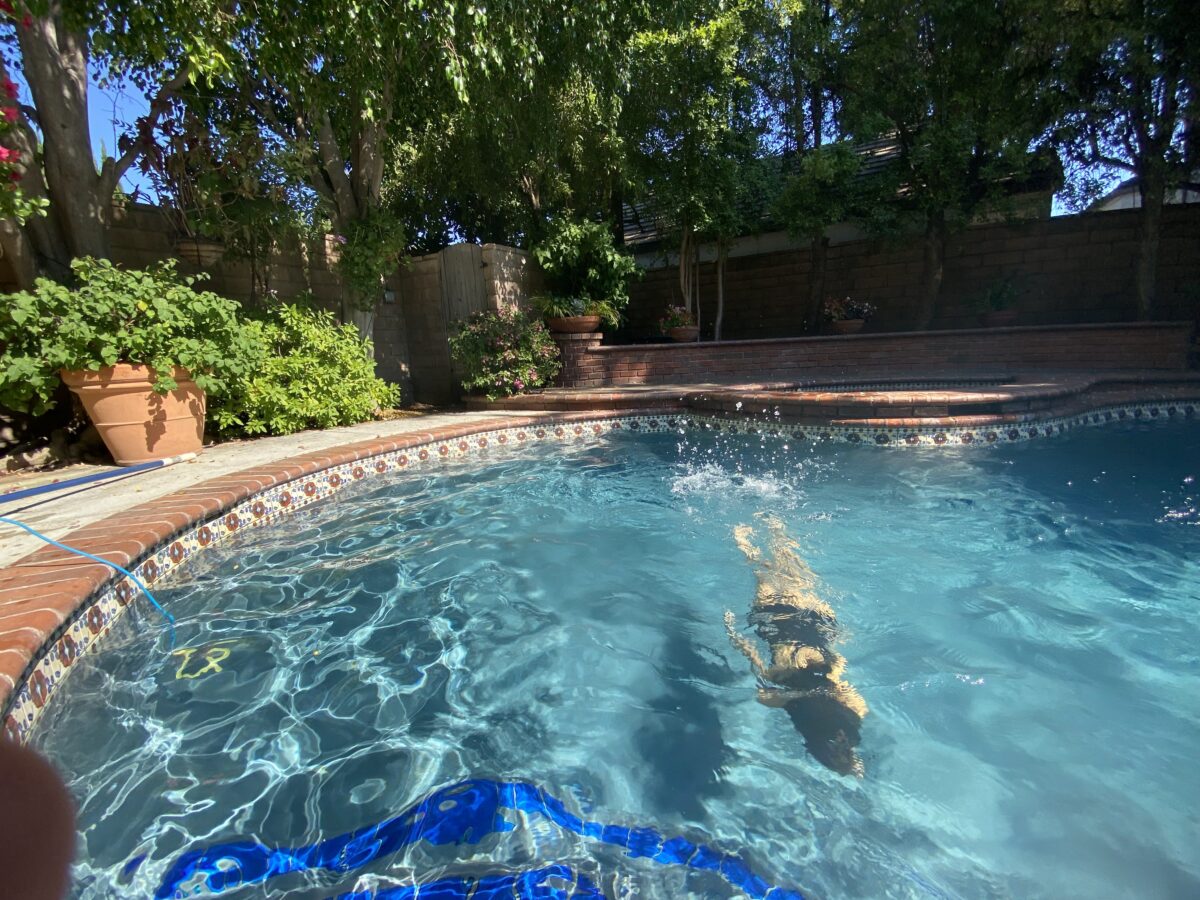 Working on any new projects? | Erica Lyons